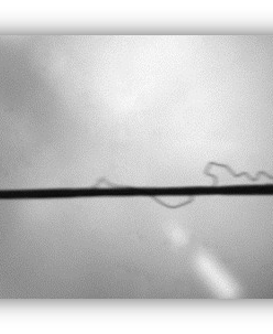 Fibrevision Fraycam 2 - Saurer